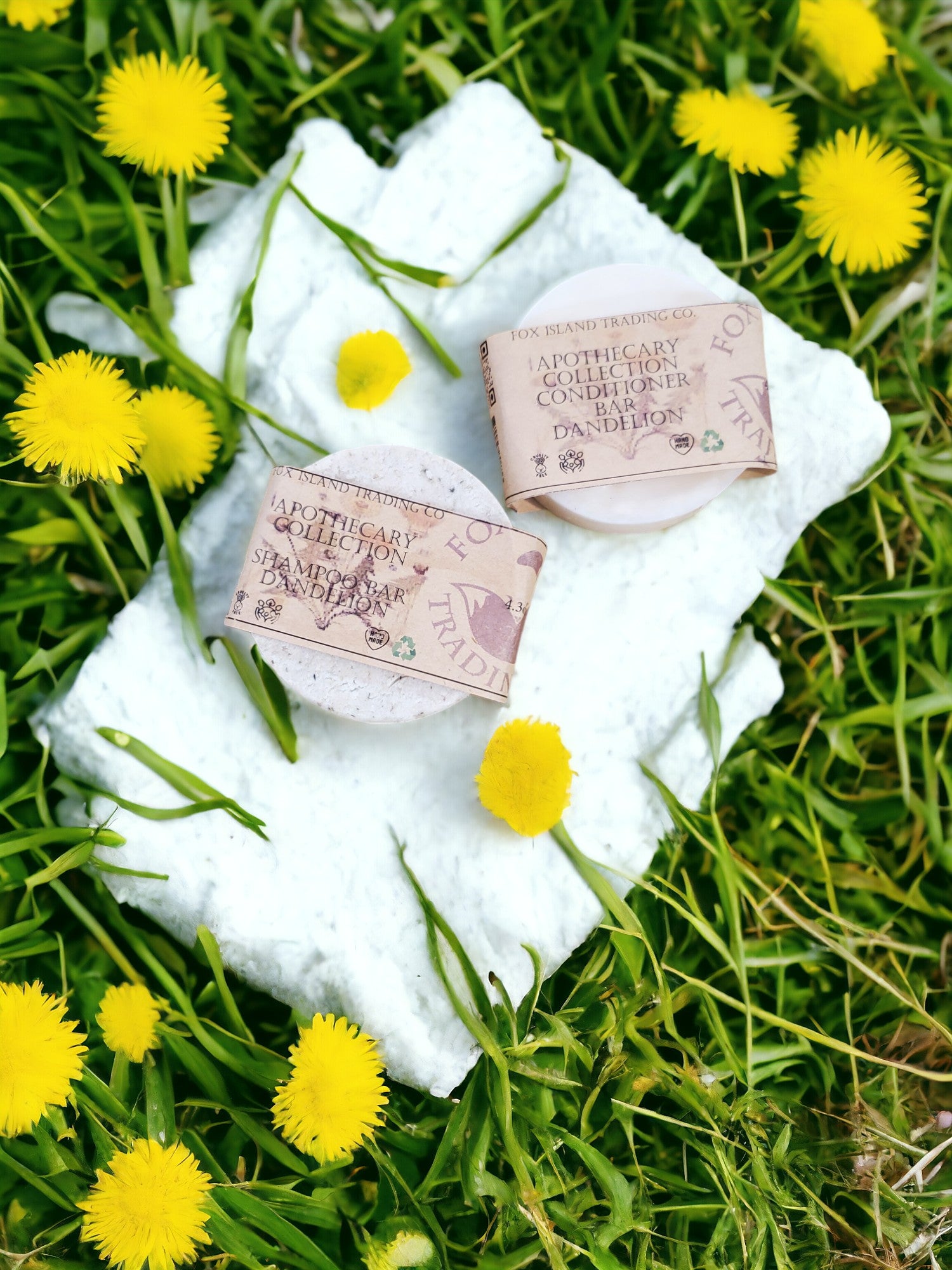 Dandelion Shampoo & conditioner Set | Fox Island Trading CO.