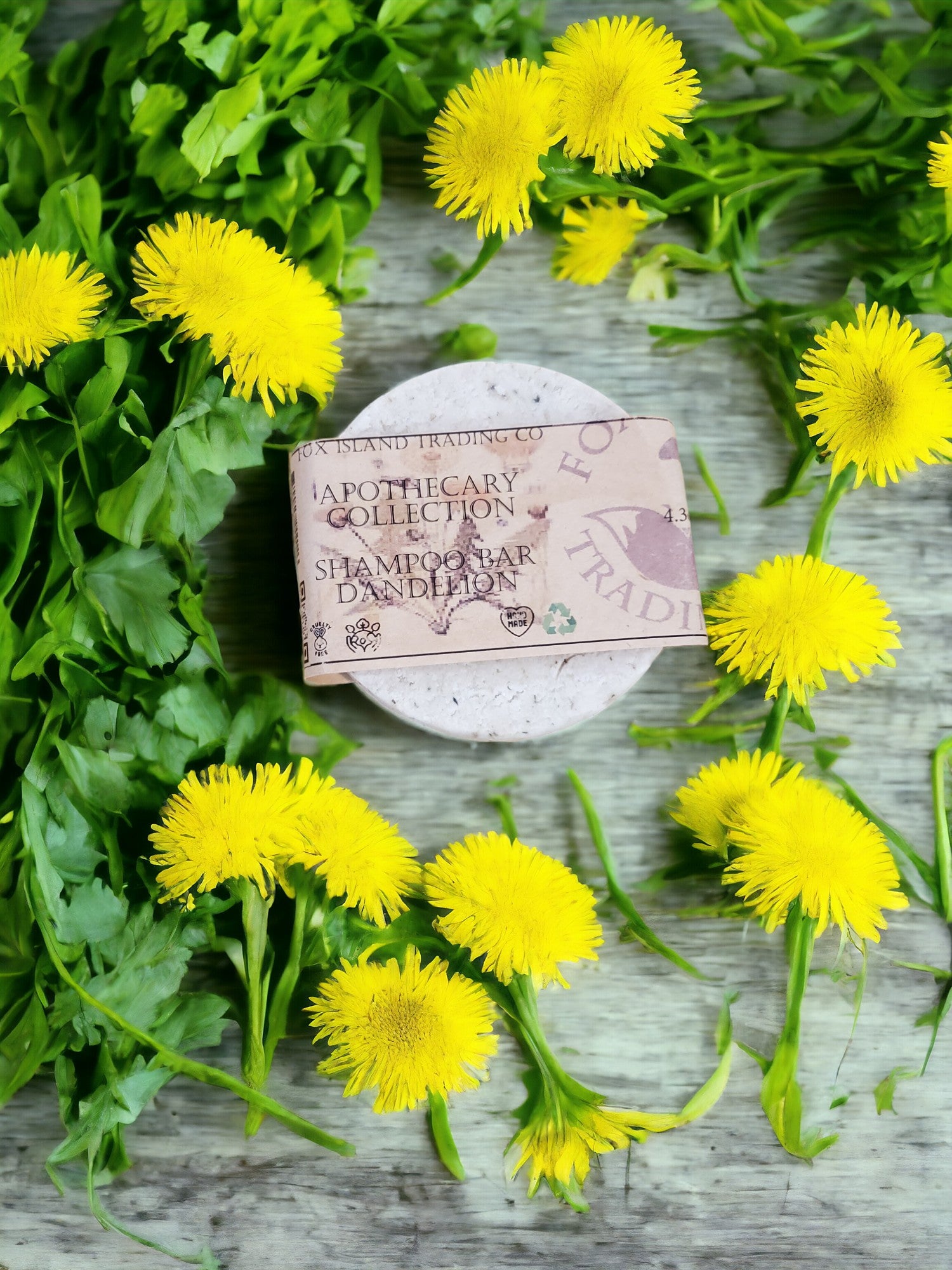 Dandelion Shampoo Bar | Fox Island Trading CO.